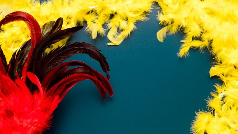 Ideas de disfraces con plumas para arrasar en Carnaval